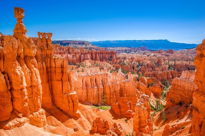 7-Day: Zion, Bryce, Monument Valley, Arches and Grand Canyon Tour - Customer Feedback