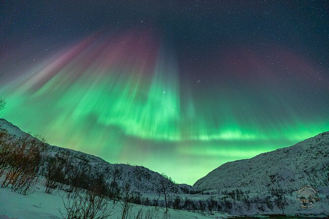 A Journey in Search of the Northern Lights | Private - The Role of Professional Guides in Your Experience