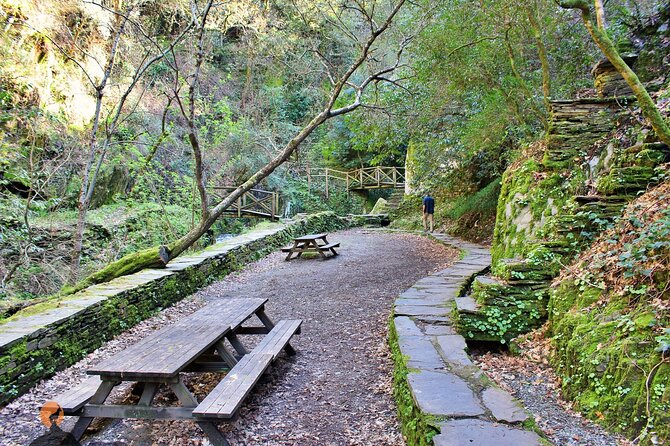 A Tour Between Cascades and Schist Villages, Piodão - Hassle-Free Transfers and Logistics