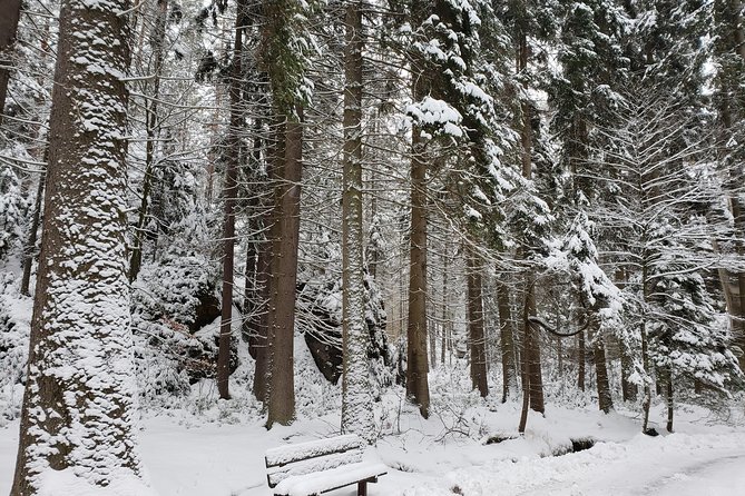 Adrspach Teplice Rocks Filming Site of The Chronicles of Narnia - Travelers Testimonials and Experiences