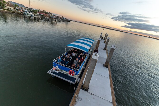 Adventure Boat Tours - One Hour Dolphin/Eco/History/Sightseeing Boat Tour - Family-Friendly Options