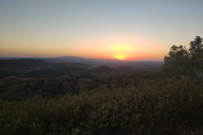 Algarve Sunset Safari Tour From Albufeira - Scenic Highlights