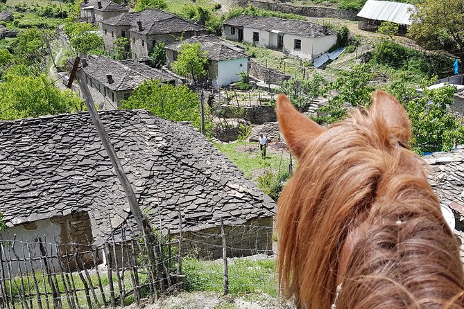 Amazing Horse Riding Experience at Vjosa National Park in Permet - Health and Safety Considerations