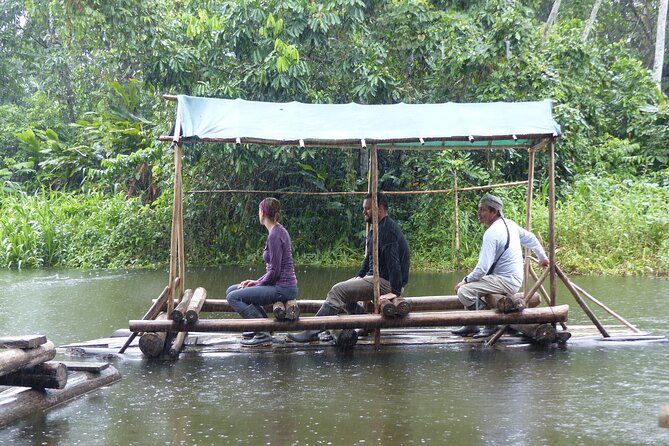 Amazon Jungle Tour 3 Days - Traveler Insights