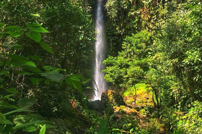 Amazon Tour in Ecuador: Puyo Day Trip From Baños - Animals and Wildlife Encounter