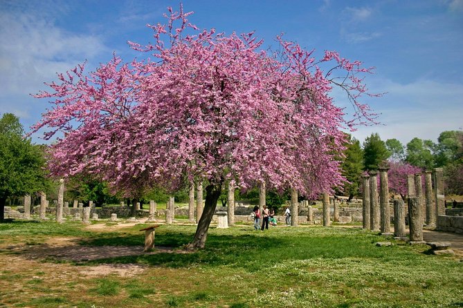 Ancient Olympia/ Ancient Corinth Private Tour From Athens/ Nafplio (Up 12 Hours) - Customer Feedback and Insights