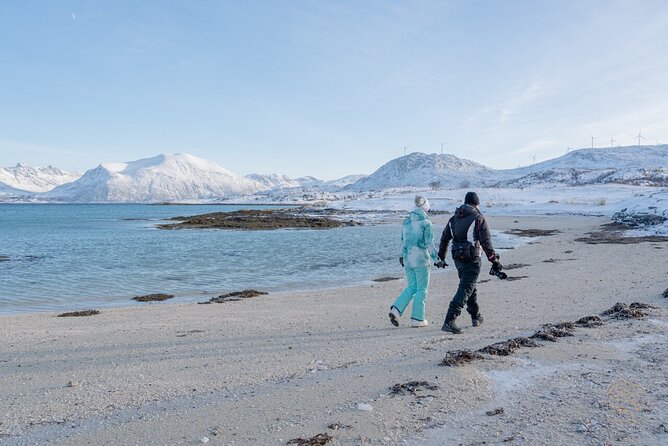 Arctic Roadtrip: Fjords With Scenic Picnic | Small Group 4x4 Van - Professional Photos