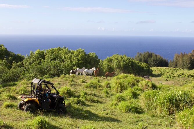 ATV Ranch Ride Big Island Hawaii - Duck Pond Fishing and Fruit Sampling