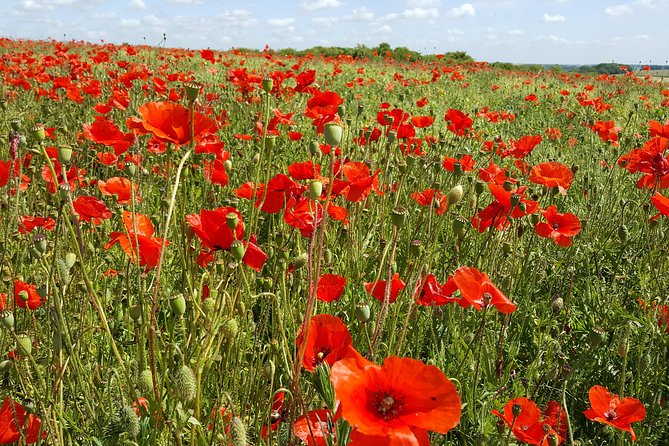 Australian Battlefields Private Tour in Fromelles and Flanders From Lille - Practical Information