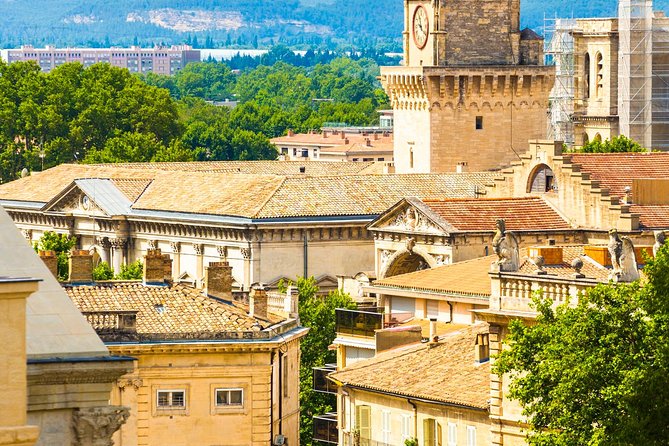 Avignon Walking Tour Including Pope's Palace Review - Tour Conditions and Recommendations