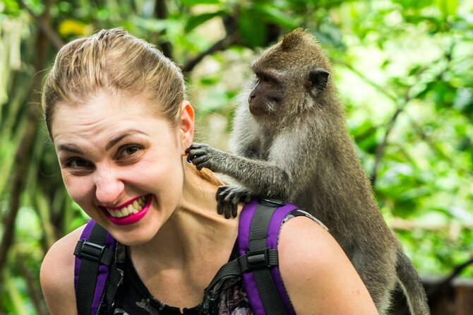 Bali ATV Quad Bike Adventures - Authentic Reviews and What They Reveal