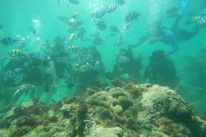 Bali Beaches Hopping - Uluwatu Temple - FAQ
