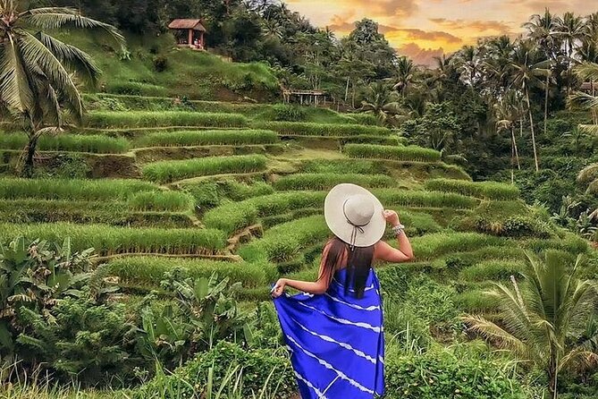 Bali Private Tour - Best of Ubud - All Inclusive - Final Thoughts