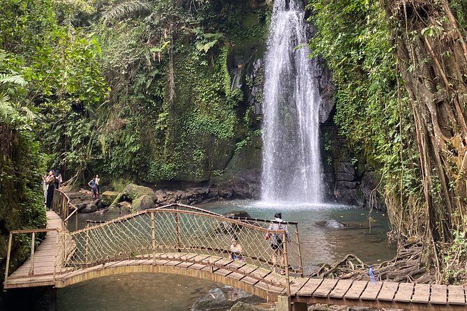 Bali : Ubud Private Tours - Return Trip and Drop-off