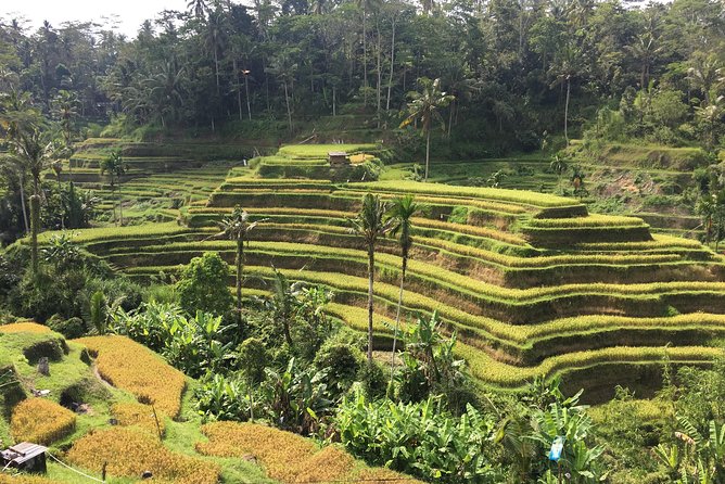 Balinese Life Style Tour - FAQ