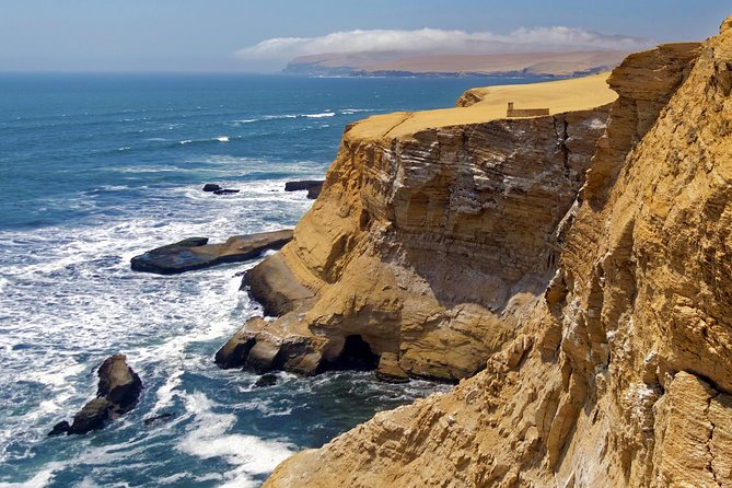 Ballestas Islands and Paracas Reserve From San Martin Port - Wildlife Sightings and Photographic Opportunities