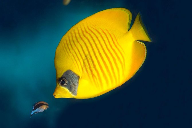 Barcelona Aquarium Skip the Line Ticket - Visitor Experiences and Feedback