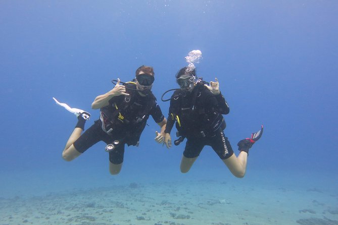 Beginner Scuba Dive in Lahaina: Swimming Required - Who Will Love This Tour