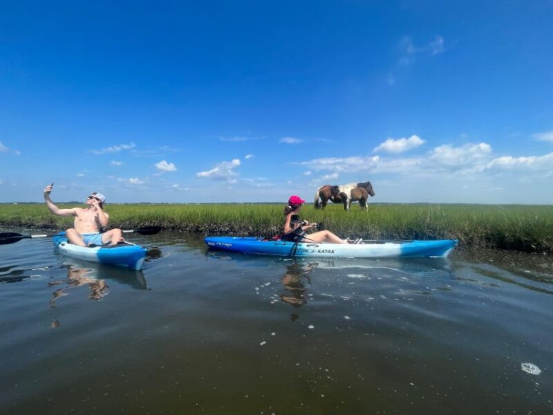 Berlin: Assateague Island Wildlife Discovery Kayak Tour - Final Words