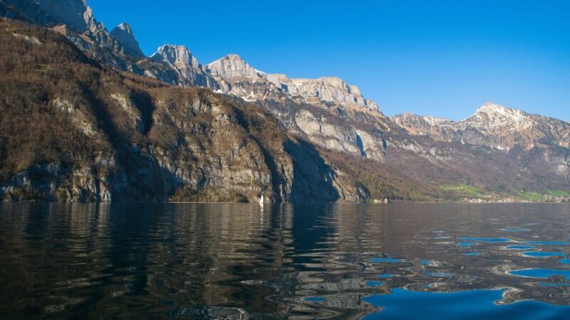 Best of Sankt Gallen: Private Walking Tour With a Local - Booking and Availability