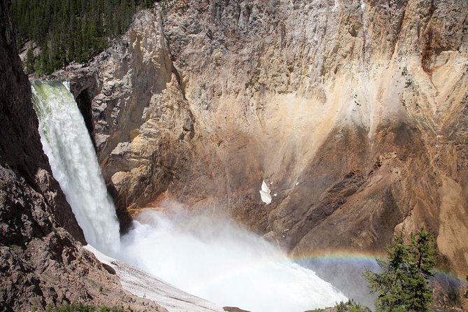 Best of Yellowstone Private National Park Safari Tour - Customer Experiences and Feedback
