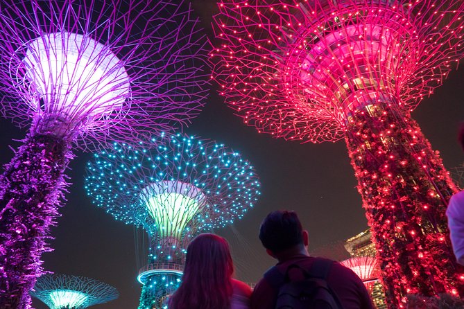 Big Bus Singapore Night Tour with Gardens by the Bay Light Show - Who Should Consider This Tour?