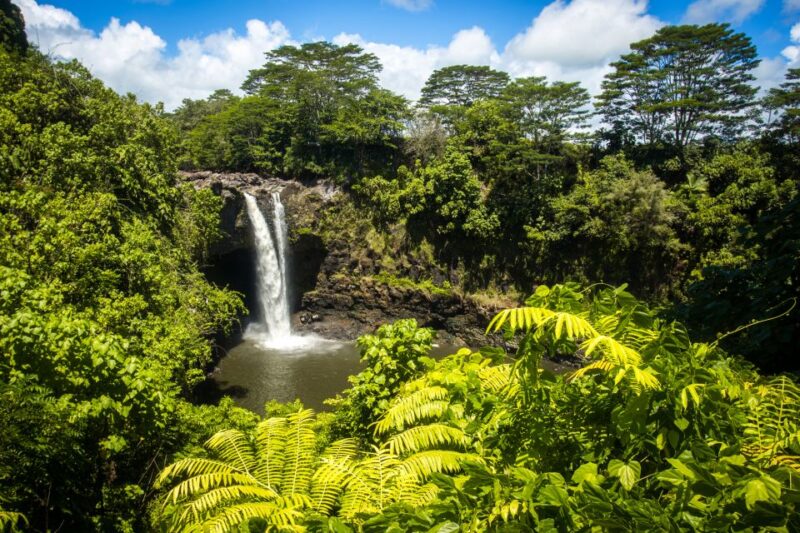 Big Hawaii: Private Guided Van Tour - Pricing and Value Considerations