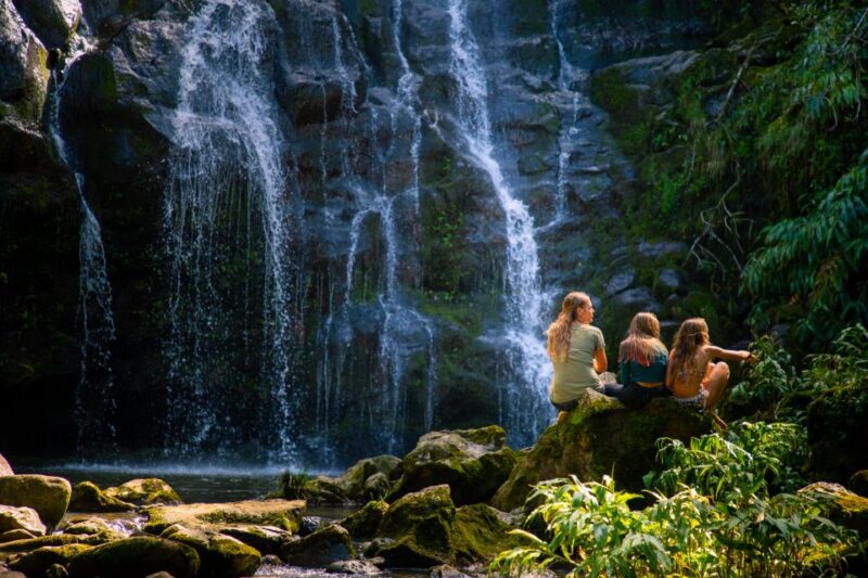 Big Island: Full Day Adventure Tour of the Kohala Waterfalls - Practical Details and Value