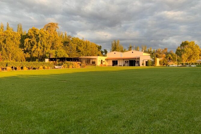 Bike Tour in Mendoza Wine Country - Lunch and Dining Options