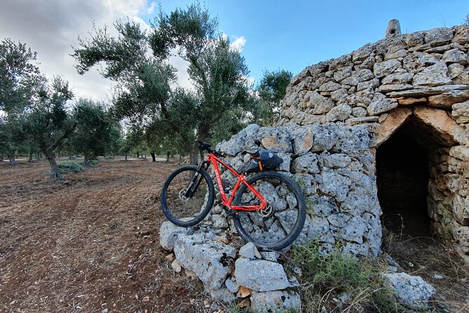 Bike Tour in the Alta Murgia National Park (Pulo of Altamura) - Lunch and Dining
