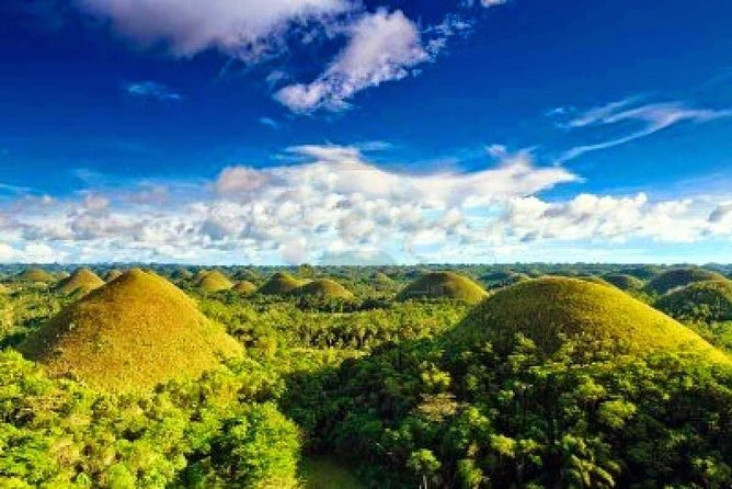 Bohol Countryside Day Tour From Cebu City | Lunch at Loboc River Cruise - Returning to Cebu