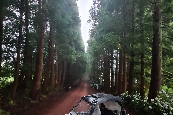 BUGGY TOUR - West / Center of the Island (Off-Road) - Customer Feedback and Highlights