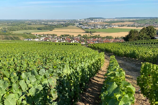 Champagne Cellars & Vineyards Tour From Reims Full Day - Exploring Reims Cathedral