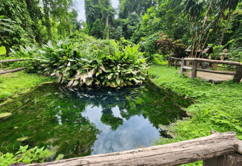 Chiang Mai: Sticky Waterfall, Bua Tong Cave Join Tour - Whats Not Included?