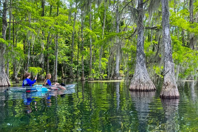 Clear Kayaking Eco Adventure Tour in Marianna - The Experiences Pace and Suitability