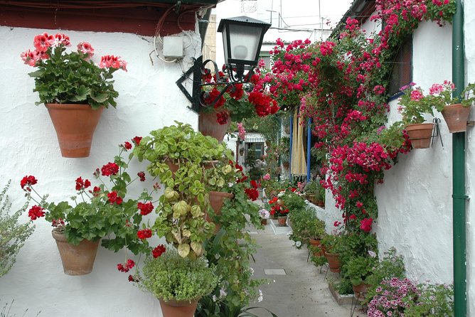 Cordobas Authentic Patios: 2-Hour Tour With Tickets - Highlights of the Tour Experience