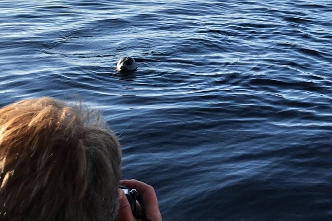 Cruise in Puumala by Lake Saimaa - Traveler Feedback and Ratings