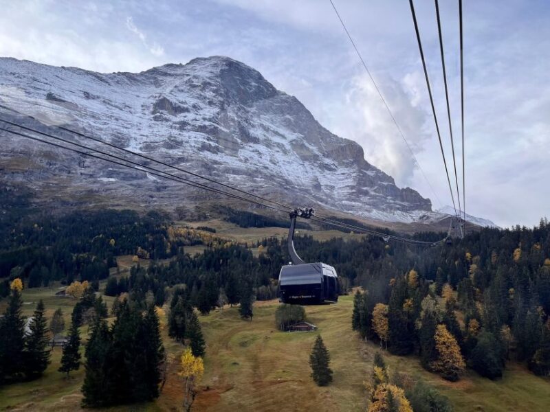 Day Tour to Top of Europe Jungfraujoch, Incl. Swiss Picnic - Sphinx Observatory
