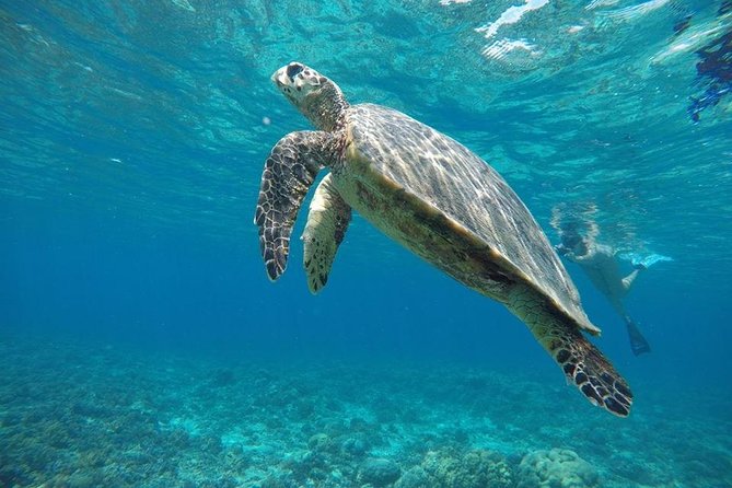 Day Trip Gili Trawangan, Gili Meno, Gili Air (Depart Lombok) - FAQ