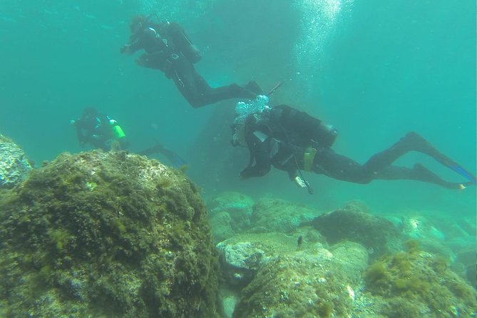 Discover Scuba Diving - Participant Requirements and Considerations