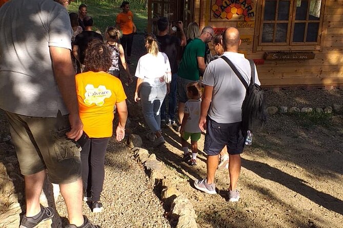 Discovering Bees in Volterra - Connecting With the Volterra Community