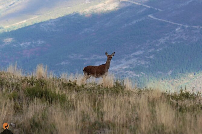 Discovering Nature in Serra Da Lousã - Unwind and Reconnect With Nature