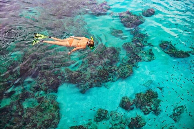 Dolphin, Sea Cave & Captain Cook Snorkel Combo in Kealakekua Bay - Enjoying the Amenities