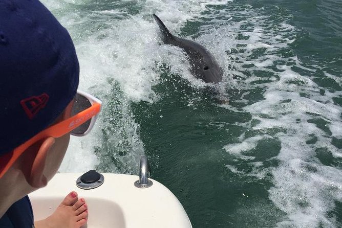 Dolphin Tours - Fort Myers Beach / Naples - Accessibility and Participation Details