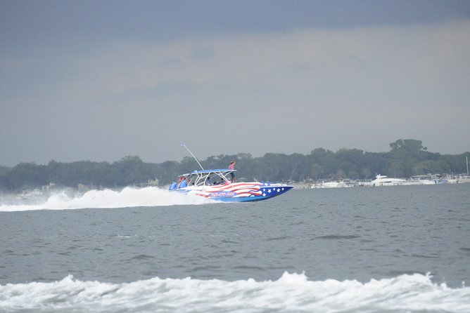 Dolphin-Watching Speedboat Cruise in Destin Harbor - Who Will Love This Tour?