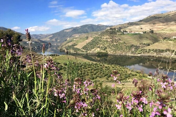 Douro Valley and Régua Cruise Review - Customer Feedback and Experiences