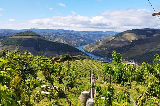 Douro Valley Small-Group Tour: 2 Wineries, Lunch, Optional Cruise - FAQ