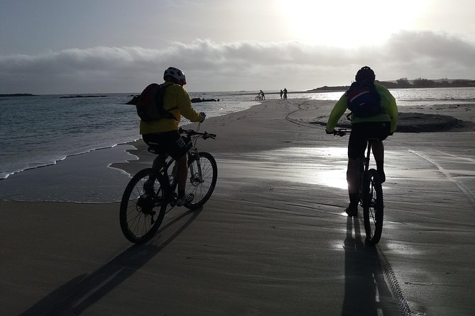 Eleftherna E-Bike and MTB Tour - Experience The Authentic Crete - Physical Fitness and Tour Accessibility