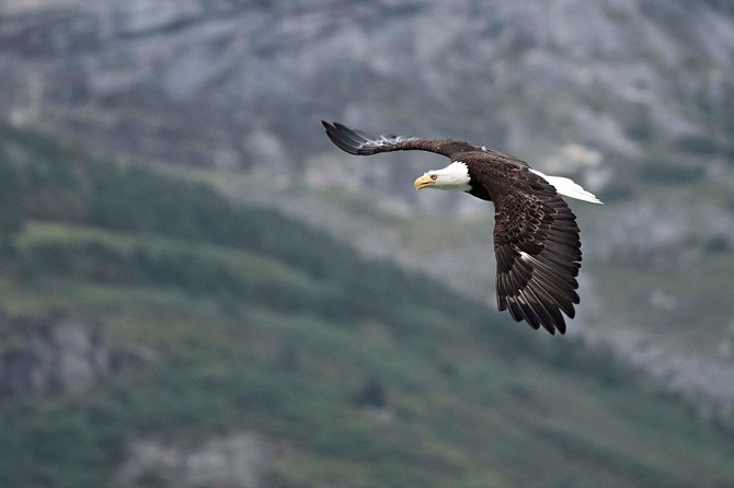 Exclusive Photography Tour to Haines - Skagway Departure - Booking and Cancellation Policy