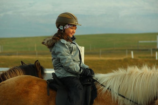 Family Friendly Horse Riding Tour in Skagafjörður - Customer Feedback and Reviews